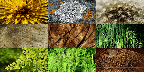Natural Texture Wallpaper